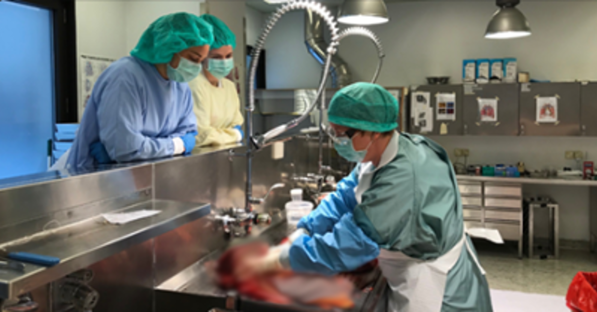 Medisinske obduksjoner - Helse Bergen HF